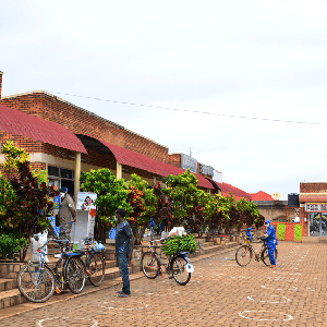 Urban Resilience Planning Programs | Resilient Cities Network