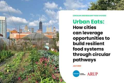 Urban Eats: How cities can leverage opportunities to build resilient ...